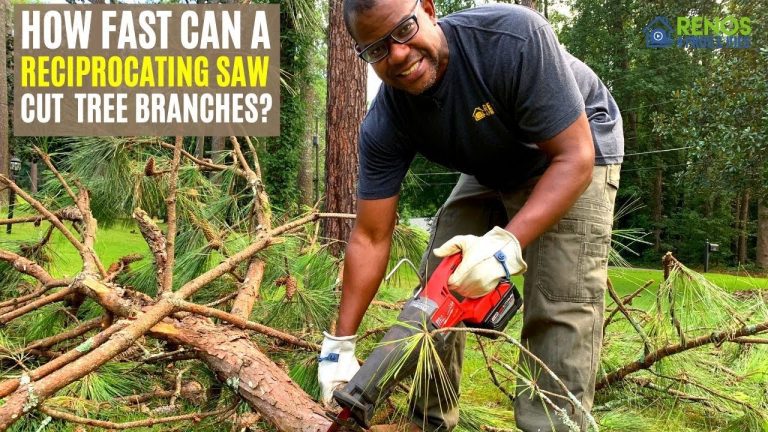 What Blade To Cut Roots: A Guide To The Best Tools - Best Saw Guidee