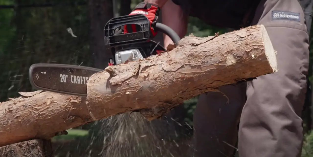 How To Cut A Fallen Tree Under Tension - Best Saw Guidee