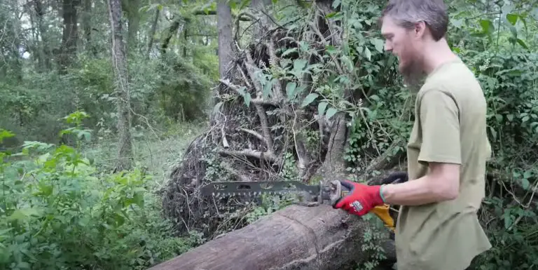 What Blade To Cut Roots: A Guide To The Best Tools - Best Saw Guidee