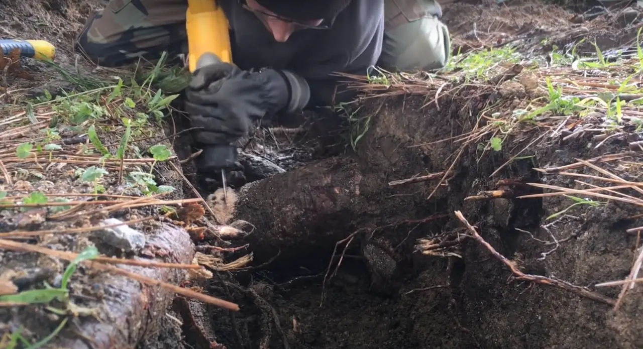 Can You Use a Reciprocating Saw to Cut Tree Roots - Best Saw Guidee