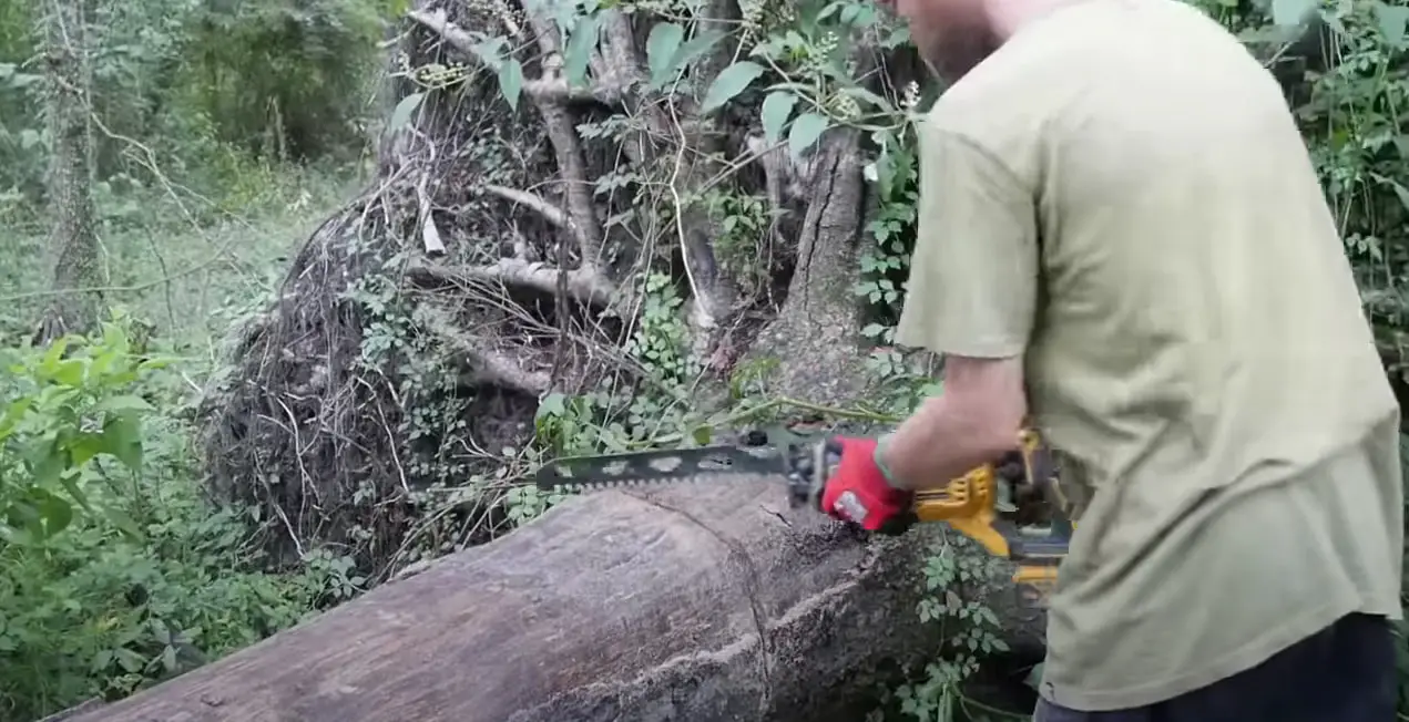 Can You Use a Reciprocating Saw to Cut Tree Roots - Best Saw Guidee